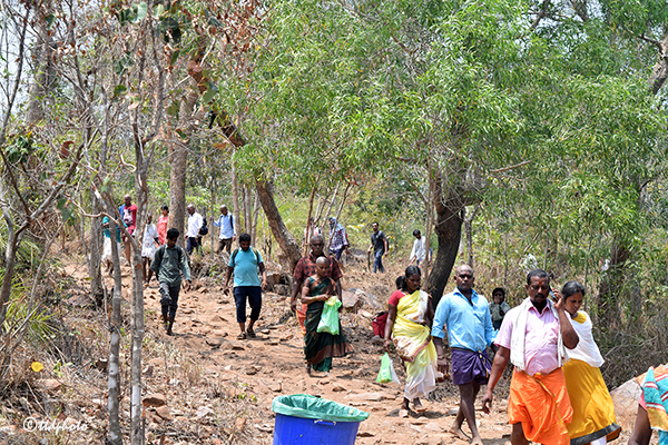 Scores of devotees participate in Tumburu theertha Mukkoti at Tirumala ...