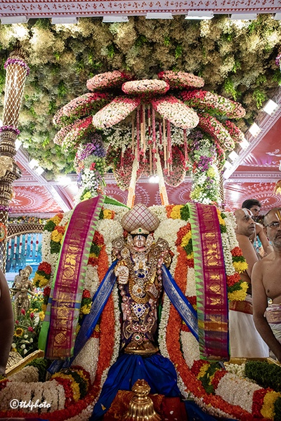 Padmavati Parinayotsavam commences at Tirumala | Hindudayashankar