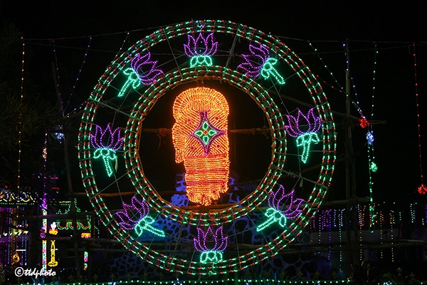 TTD Brahmotsavam: 'Electrifying' Seven Hills | Hindudayashankar