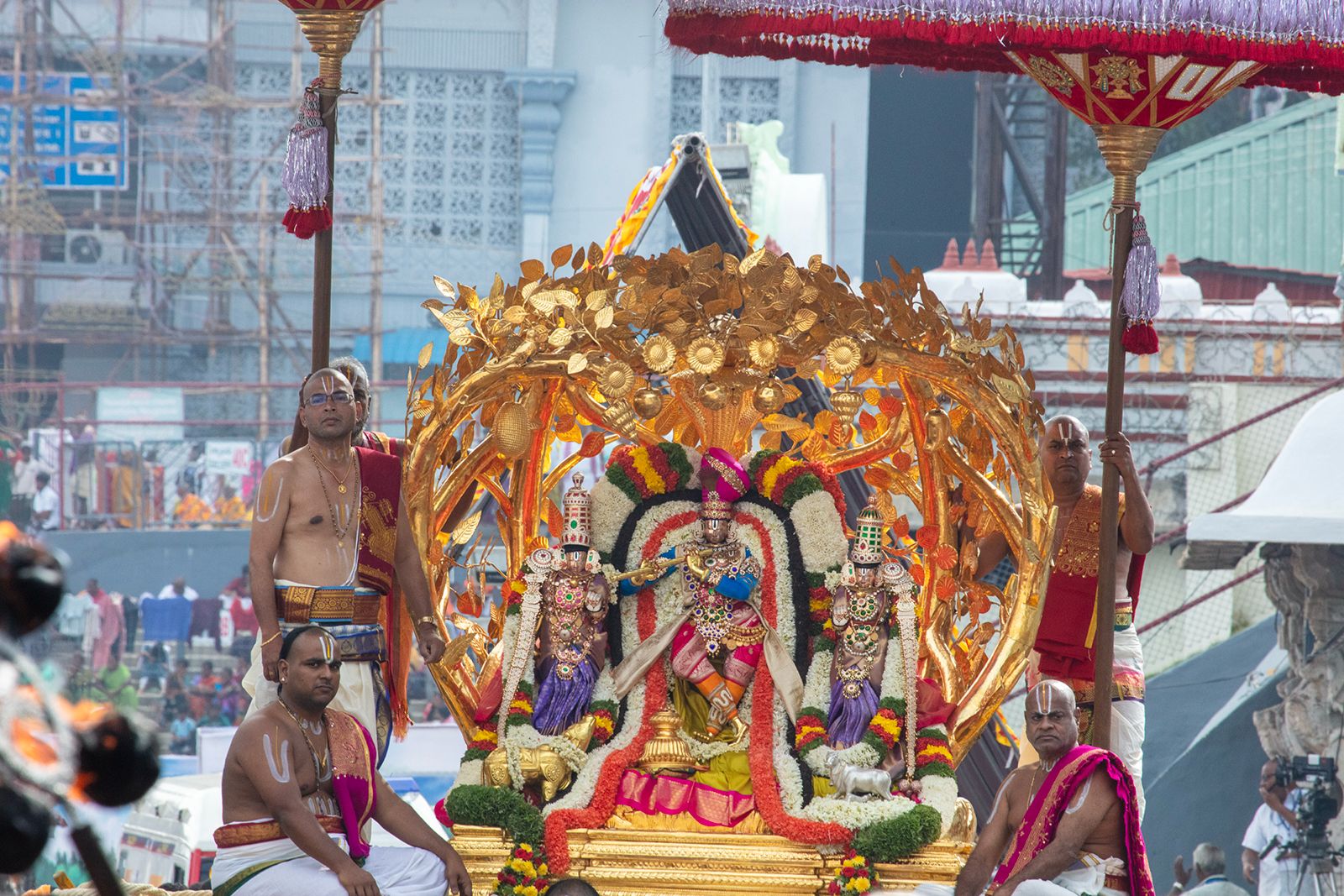 Lord of Tirumala rides Kalpa Vruksha vahanam on fourth day of ...