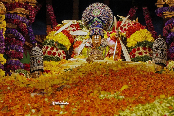 Colourful Pushpa Yagam held at Kodandarama Swamy temple in Tirupati ...