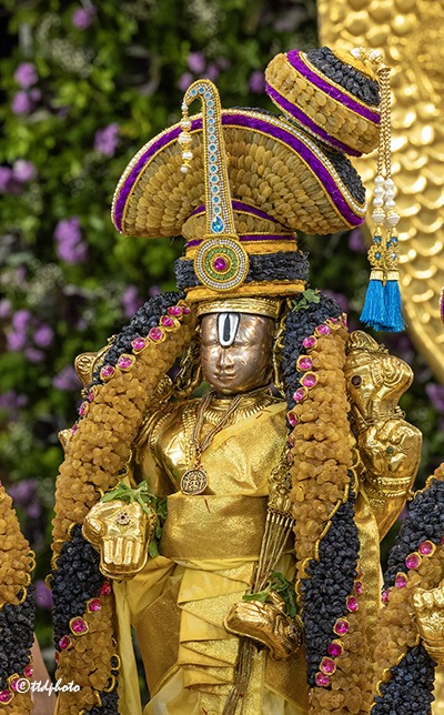 Dry Fruit and Turmeric Stalk garlands stand as a special attraction in ...