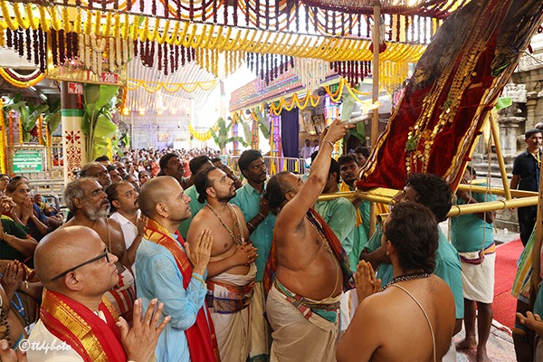 Lakshmi Kasula Haram procession in Tiruchanoor Sri Padmavathi Ammavaru ...