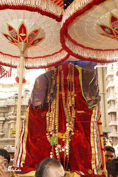 Lakshmi Kasula Haram procession in Tiruchanoor Sri Padmavathi Ammavaru ...