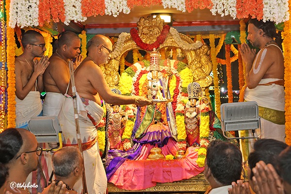 Float festival commences at Sri Govindaraja Swamy temple in Tirupati ...