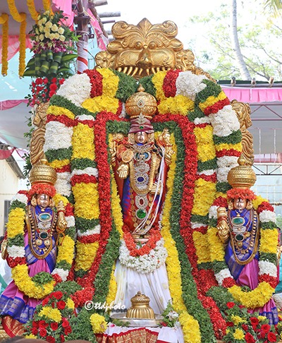 Float festival commences at Sri Govindaraja Swamy temple in Tirupati ...
