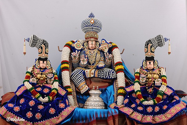 Sri Govindaraja Swamy temple stands tall in the heart of Temple City ...